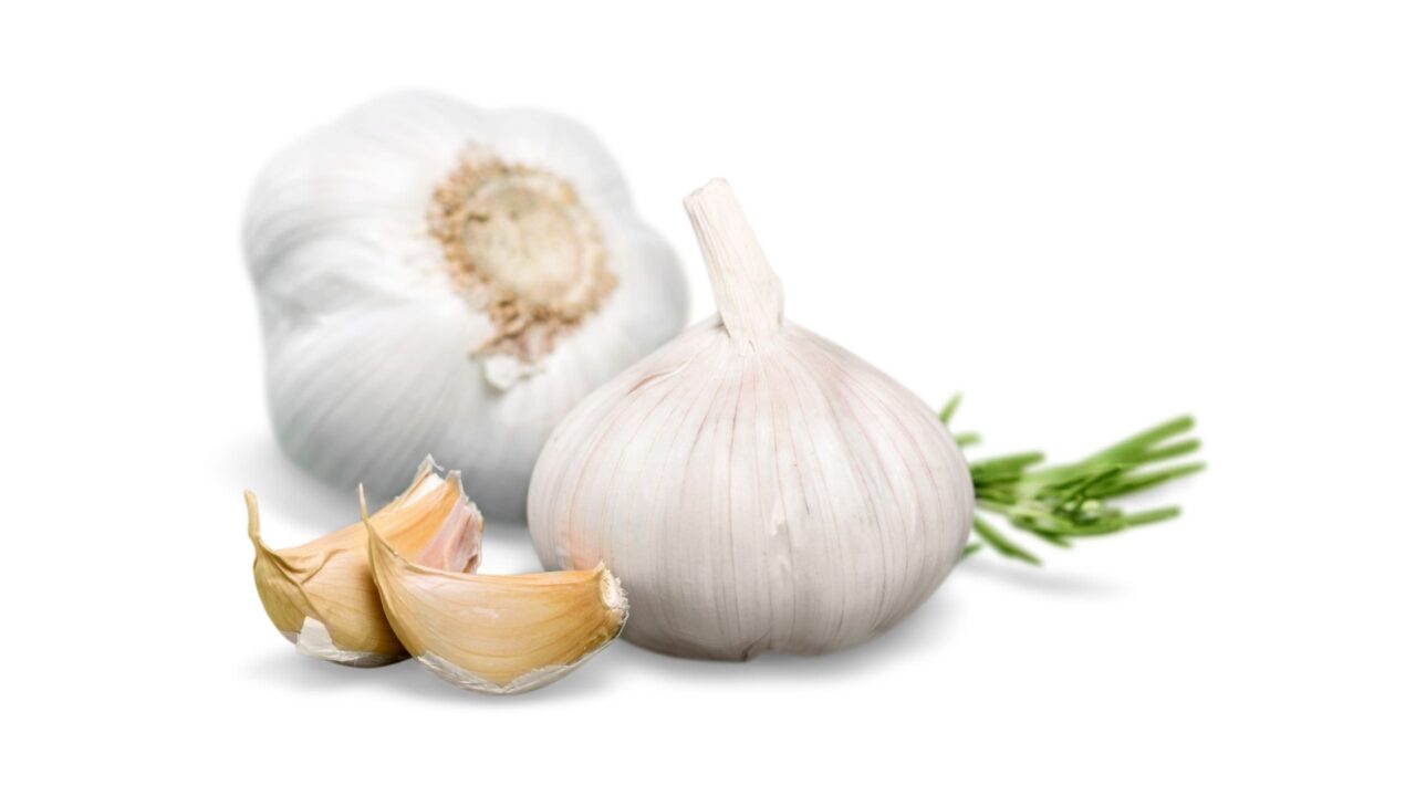 About Us | Garlic Seed Farm